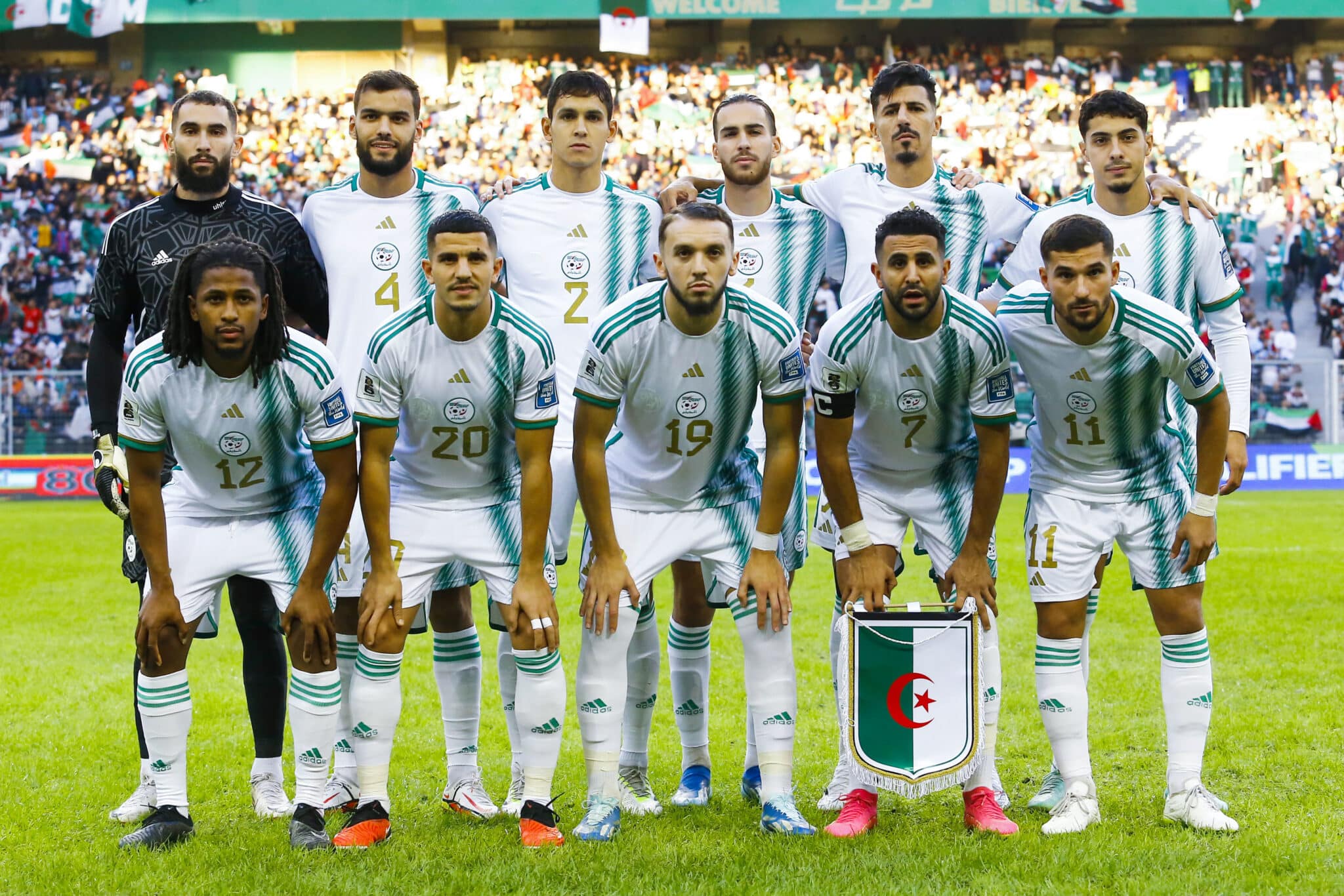 AFCON 2023 Group D winners prediction: Algeria to go all the way?
