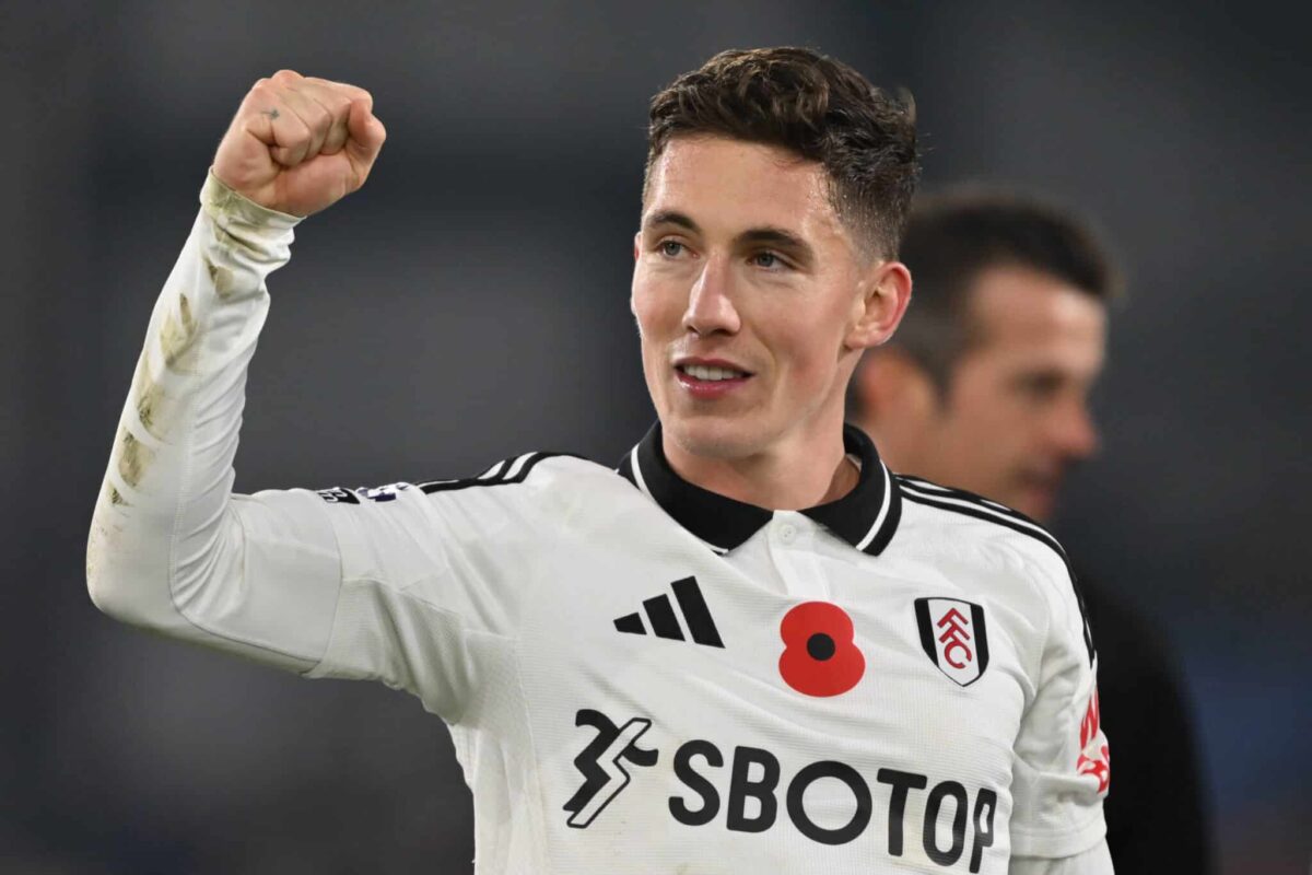 Fulham vs Wolves prediction, odds & betting tips - 23/11/2024